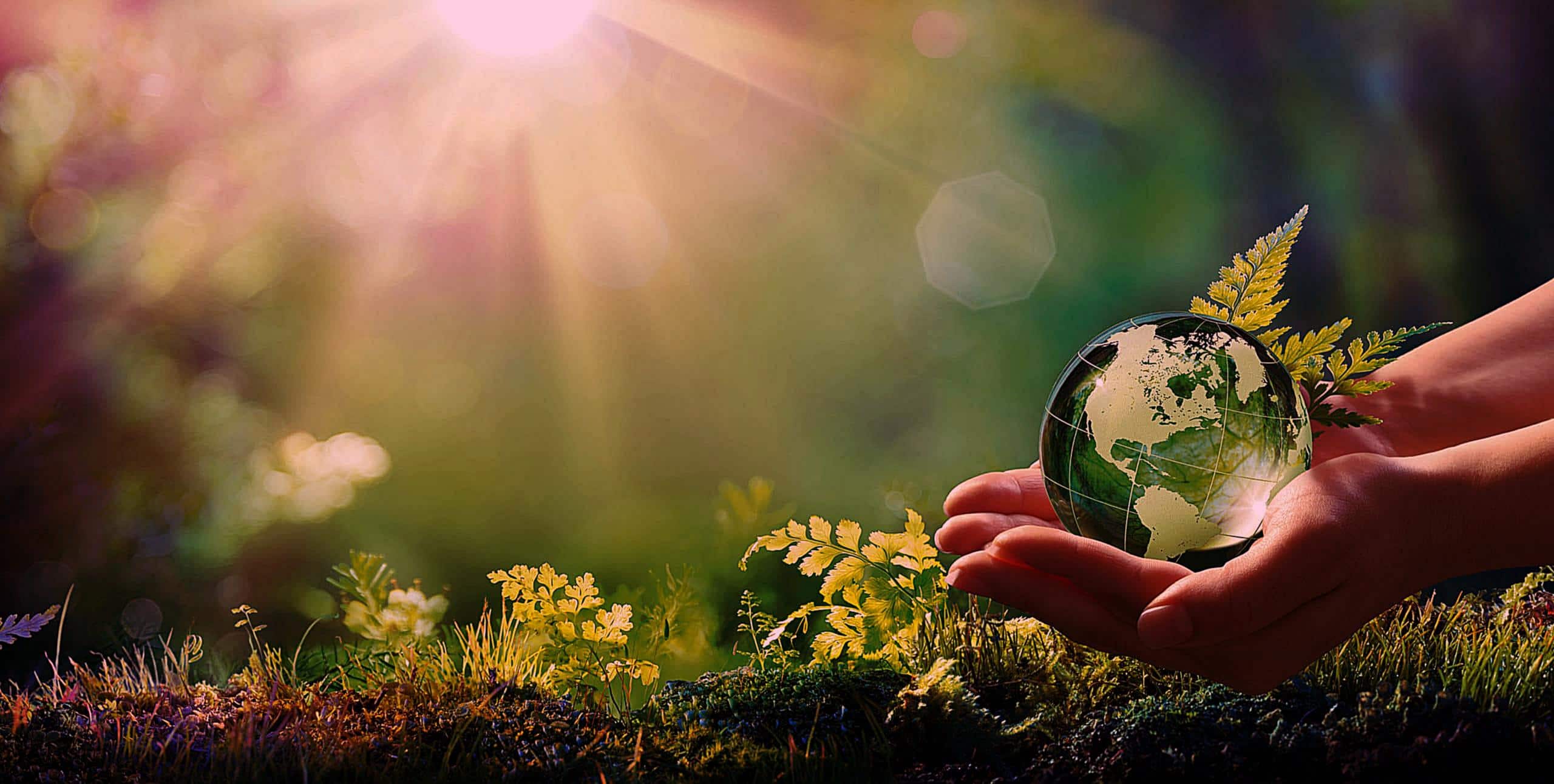 ISCC+ : un outil pour répondre aux enjeux de la RE 2020